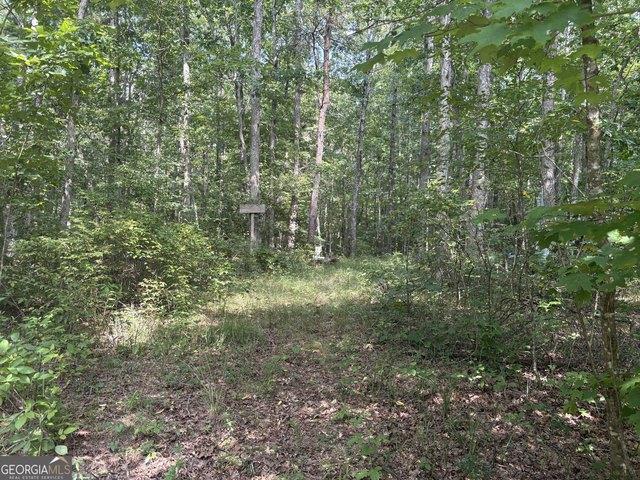 Griff Johnson Rd, Menlo, GA 30731