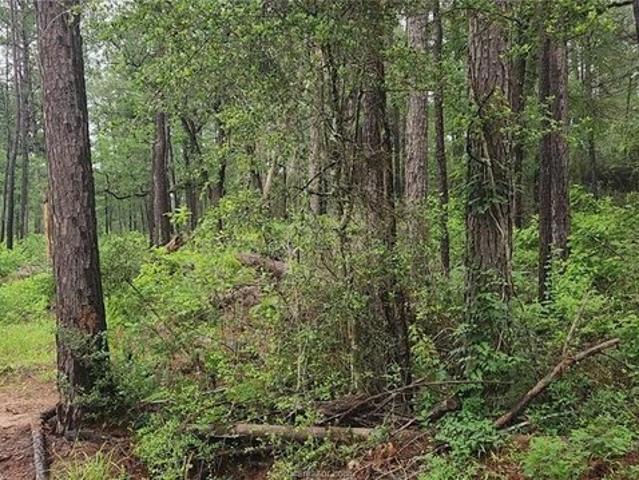 Gum Tree Ln Lot 33, Plantersville, TX 77363