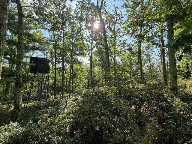 Gumaer Falls Rd, Mamakating, NY 12790