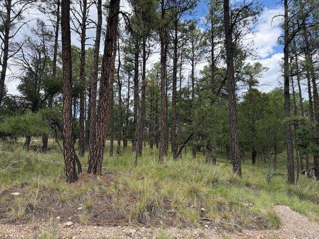 Gunnison Way, Timberon, NM 88350