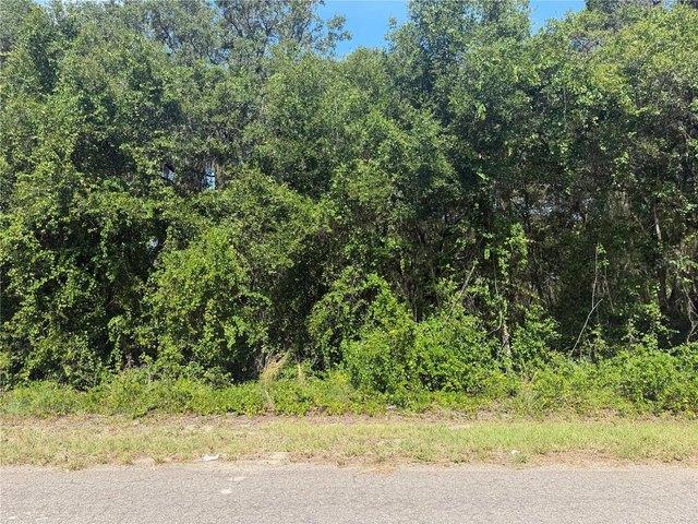 Guava Ter, Ocklawaha, FL 32179