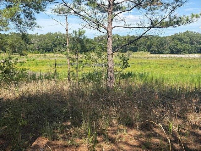 Guava Ter, Ocklawaha, FL 32179
