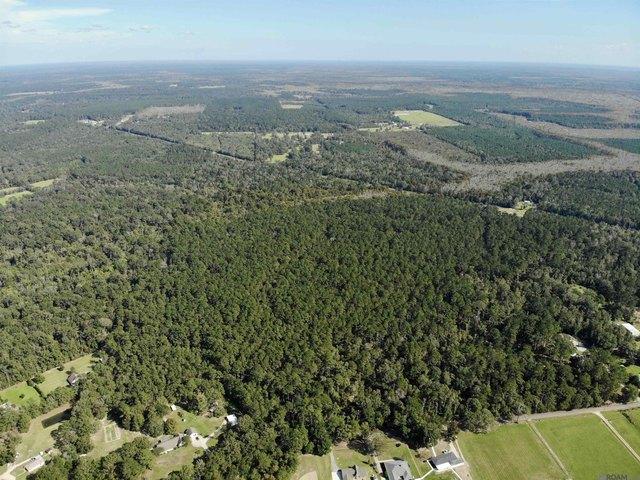 Guitreau Rd, Livingston, LA 70754