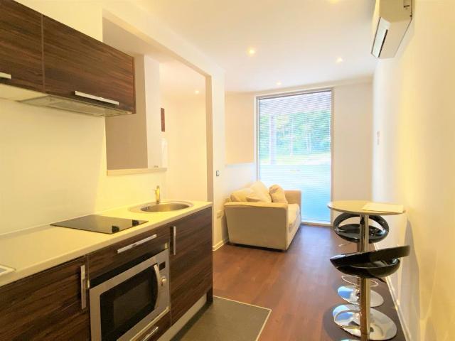 Guildford Park Road, Guildford GU2 Studio to rent £1,150 pcm £265 pw