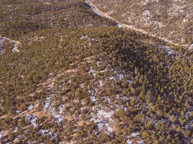 Gulch Rd, Cotopaxi, CO 81223