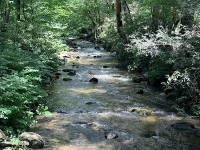 Gulf Rd, Hartford, TN 37753