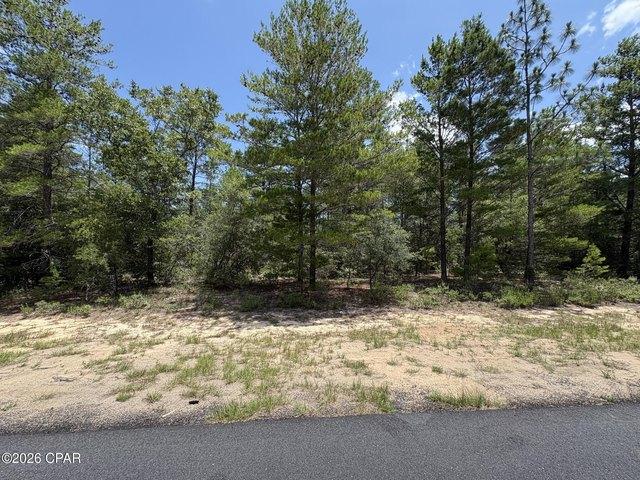 Gulliver Dr Lot 14, Chipley, FL 32428