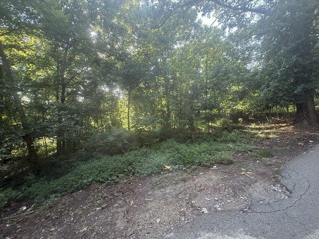 Gupton Ln, Clarksville, TN 37040