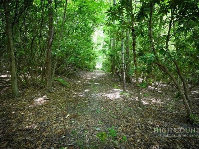Gusher Knob Rd Lot 2, Spruce Pine, NC 28657