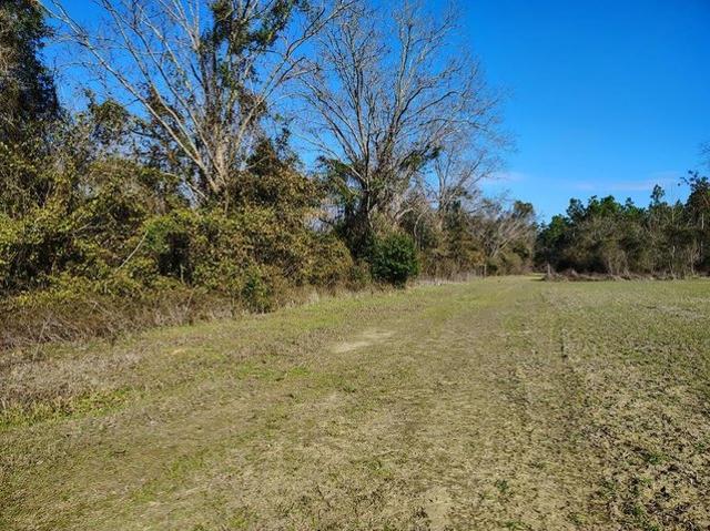 Guy Branch Rd, Cottonwood, AL 36320