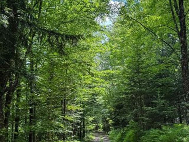 Guyette Rd, Lowell, Plot For Sale