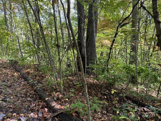 H16 h17 Shady Grv Rd, Tuckasegee, NC 28783 | MLS #4307 | Compass