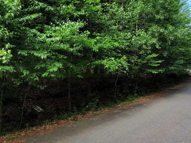 H17 Wolf Hollow Road