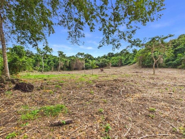 h Montpellier Pr, Saint Croix, Plot For Sale