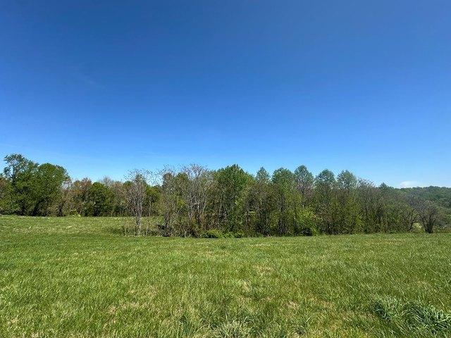 H O Allison Lots 9 & 10, Baxter, TN 38544