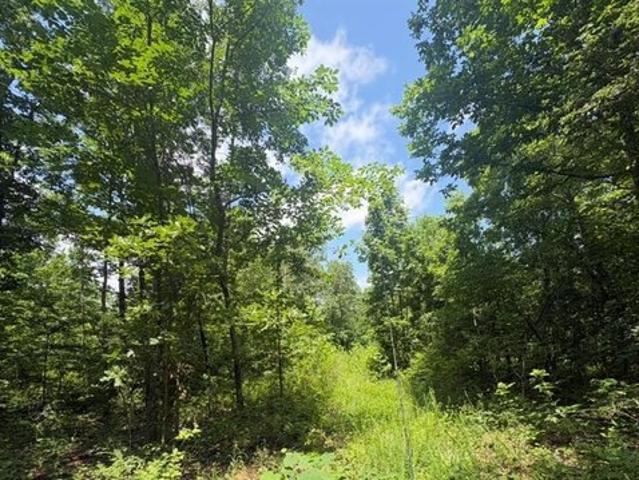 H Hwy, Ellington, MO 63638