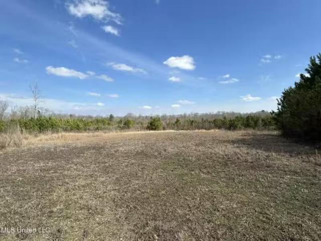 h IGHWAY 21, FOREST MS 39074 Vacant Land For Sale MLS# 4083760