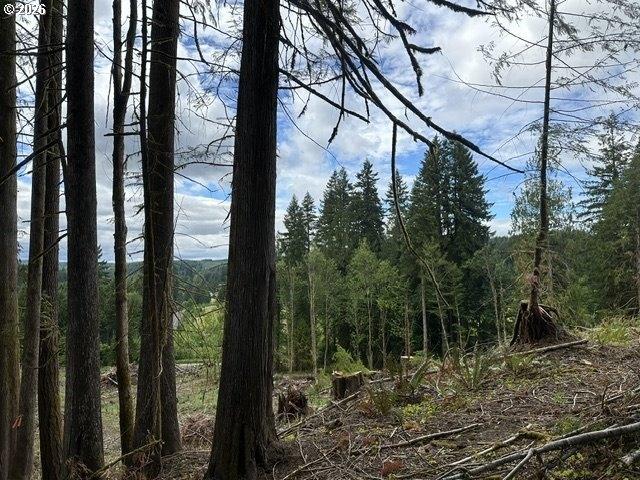 H St, Vernonia, OR 97064