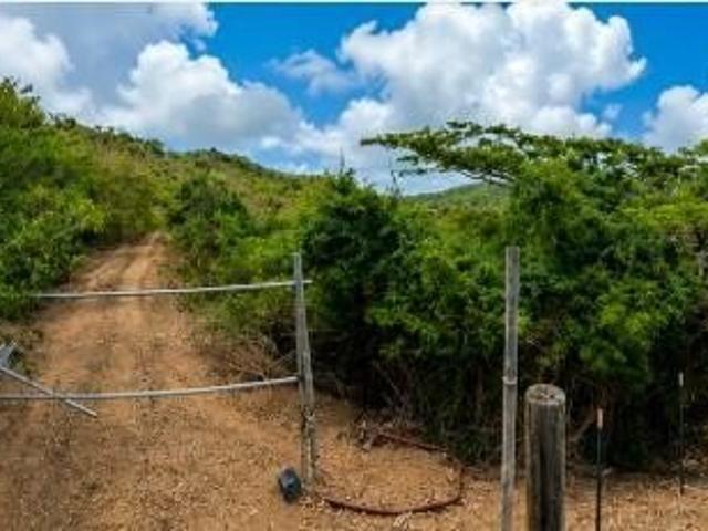 h Two Friends Pr, Saint Croix, Plot For Sale