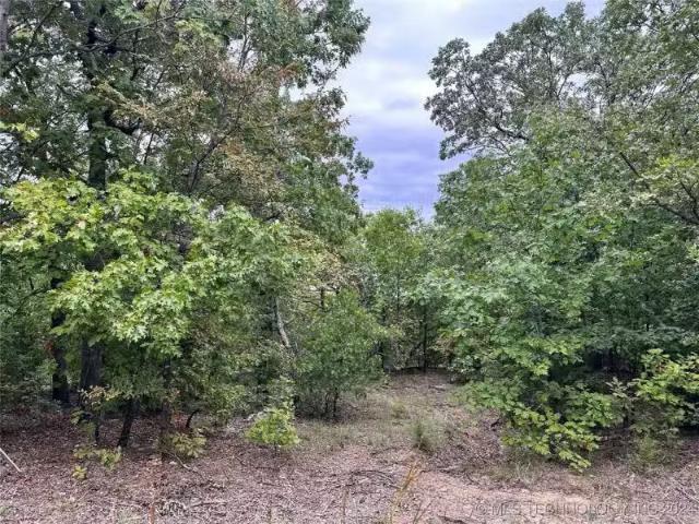 h UNTER ROAD, STIGLER, OK 74462 Vacant Land For Sale MLS# 243.