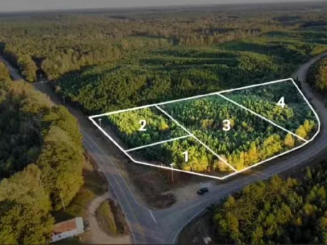 h WY 9 LOT 4, BALDWYN, MS 38824 Vacant Land For Sale MLS# 24.