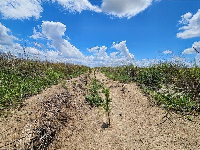 Hcn Rd, Sebring, FL 33870