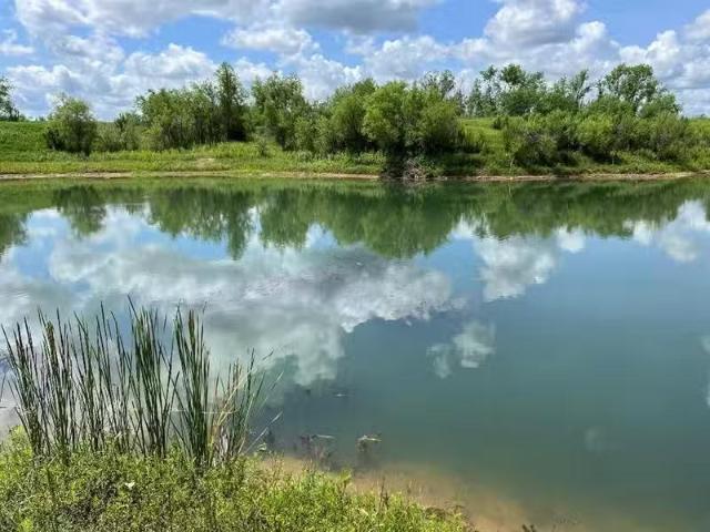 HCR 2200, Aquilla, TX 76622