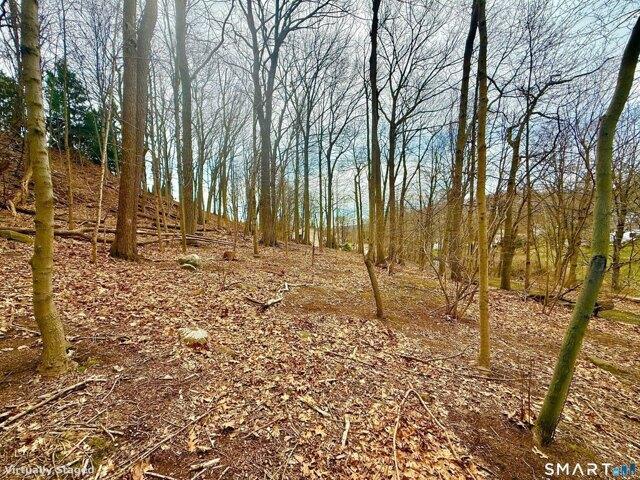 Hamden CT 06514 LS102346291