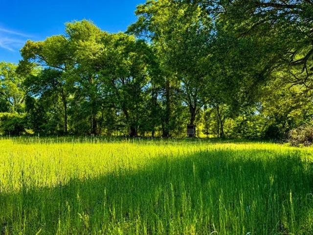 Hamill Rd, Arlington, GA 39862