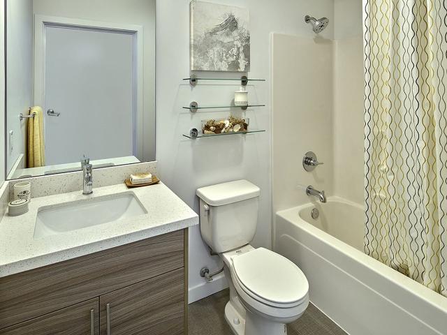 Hamilton 1 Bedroom Apartment for Rent at 2302 E Denny Way, Seattle, WA 98122 Mann