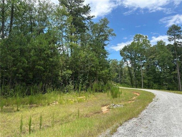 Hamilton Rd, Chattahoochee Hills, GA 30268