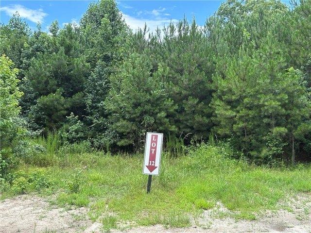 Hamilton Rd, Chattahoochee Hills, GA 30268