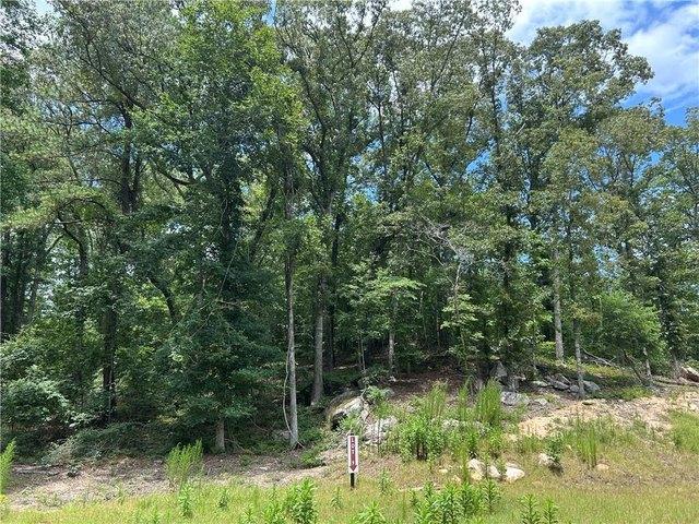 Hamilton Rd, Chattahoochee Hills, GA 30268