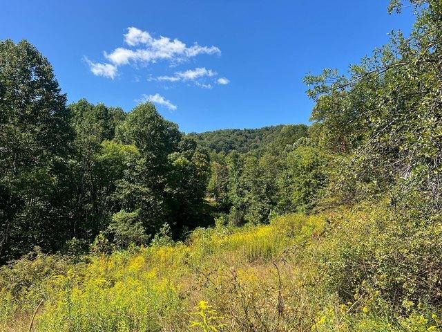 Hamilton Ridge Rd, Alderson, WV 24910