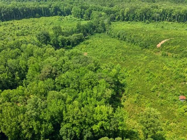 Hamlets Chapel Rd, Pittsboro, NC 27312