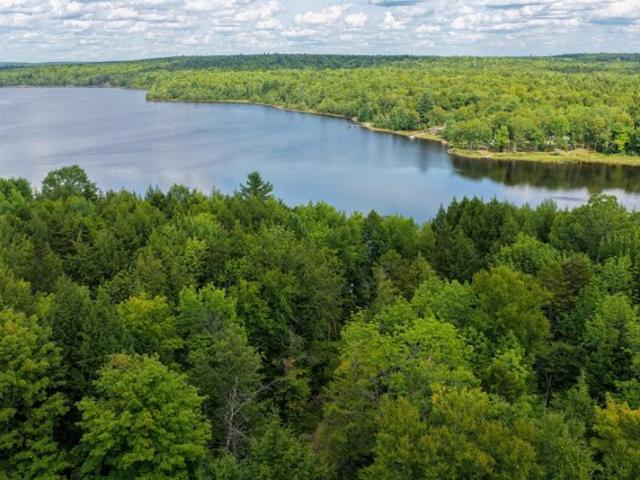 Hammie Rd, Molunkus Township, Plot For Sale