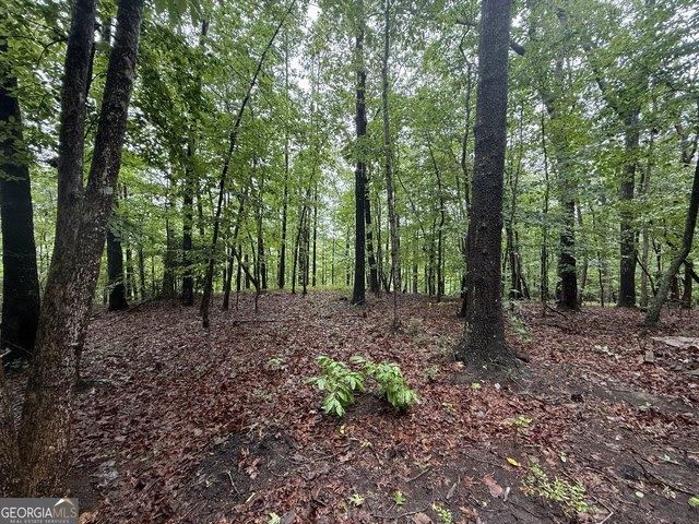 Hammond Dr, Toccoa, GA 30577