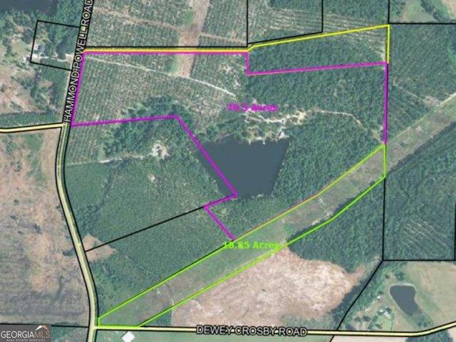 Hammond Powell Rd, Hazlehurst, GA 31539