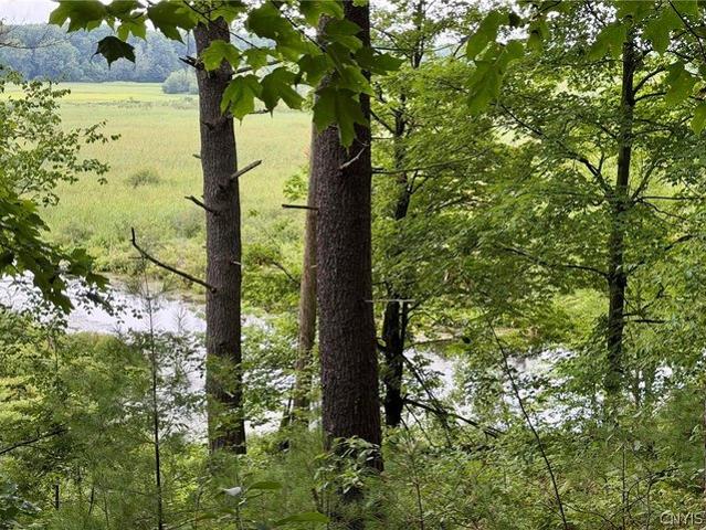 Hammond Rd, Hammond, NY 13646
