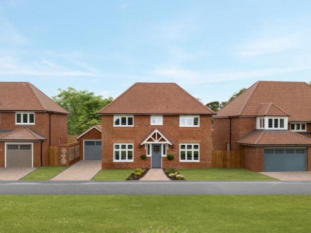 Hampden Meadows