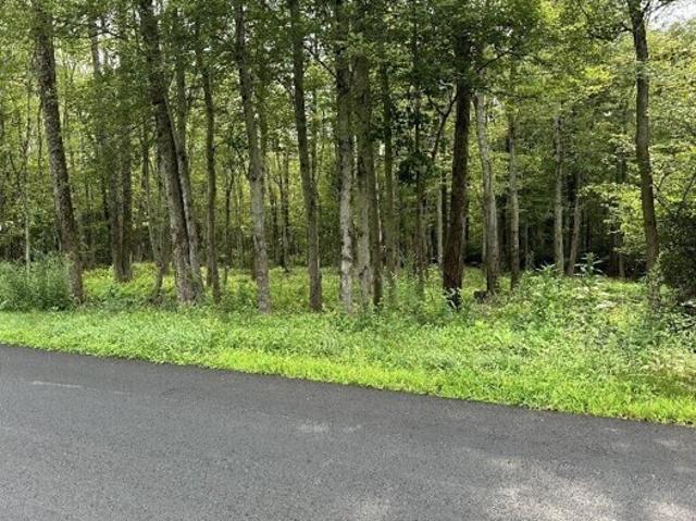 Hampton Rd, Pomfret, Plot For Sale