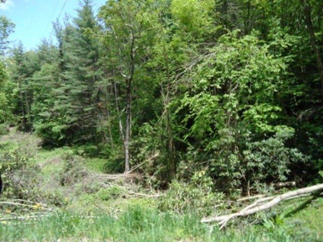 Hampton Spgs Lot 27B, Glenville, NC 28736