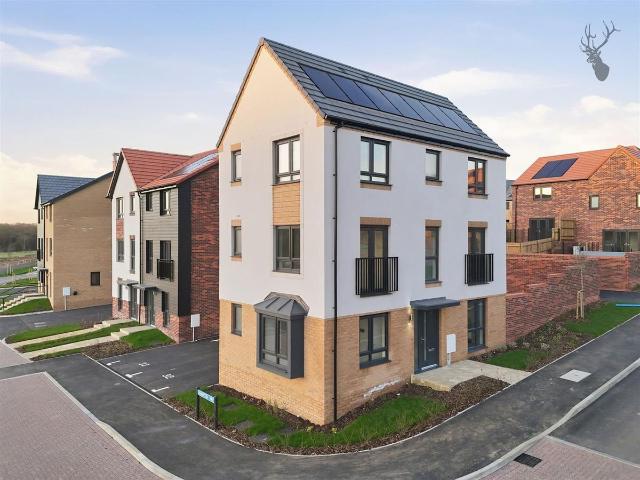 Hampton Way, Bishop's Stortford CM23, 4 bed detached house to rent, £2,900 pcm | PrimeLocation