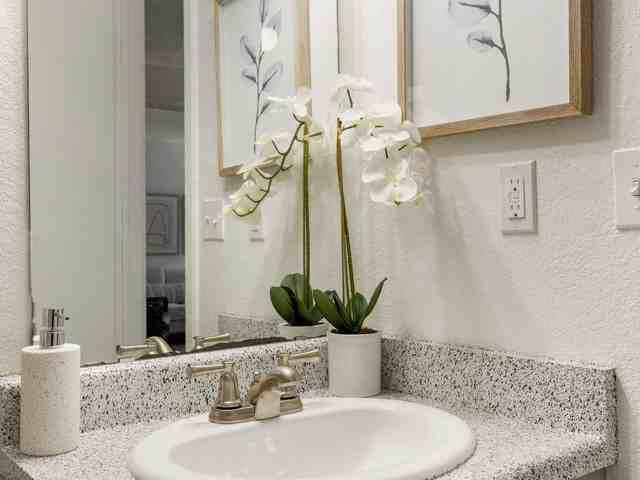 Hampton Woods 1 Bedroom Apartment for Rent at 3001 Oak Tree Ave, Norman, OK 73072