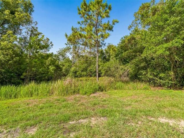 Hamrich, Dade City, FL 33525