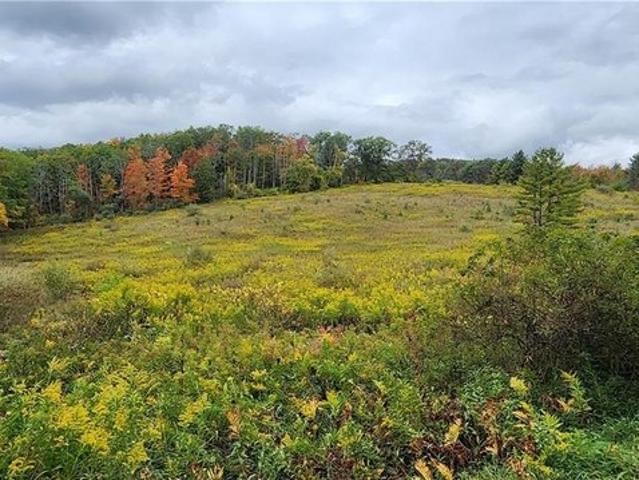 Hanyon Rd, Canisteo, NY 14823