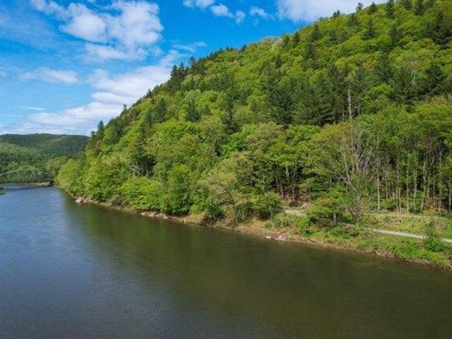 Hancock NY 13783 103604901