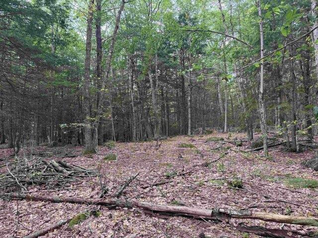 Hancock NH 03449 104790471