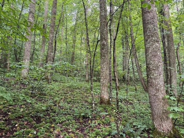 Hanging Run Rd Lot 1, Belington, WV 26250