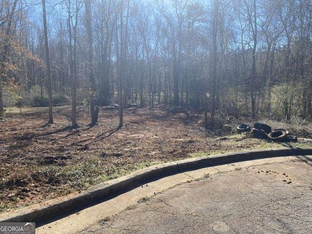 Hannah Ct Lot 13, Barnesville, GA 30204